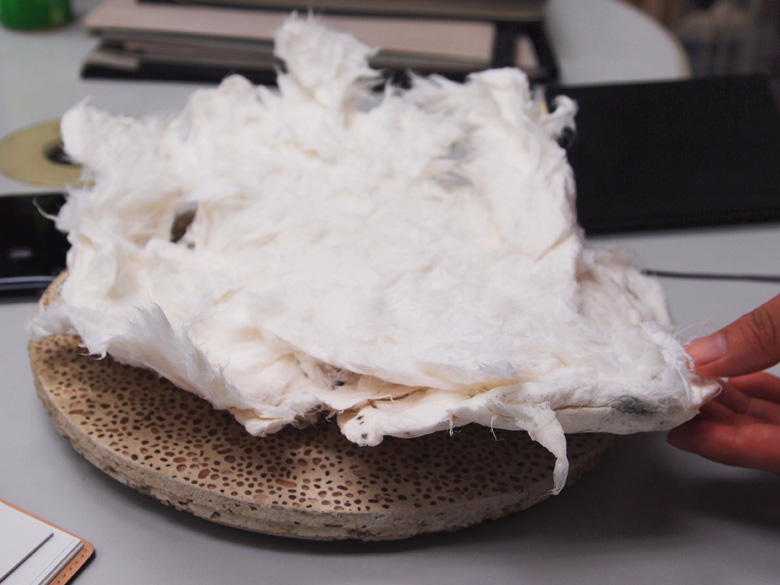 interview#017 谷口文代 - unicorn-support